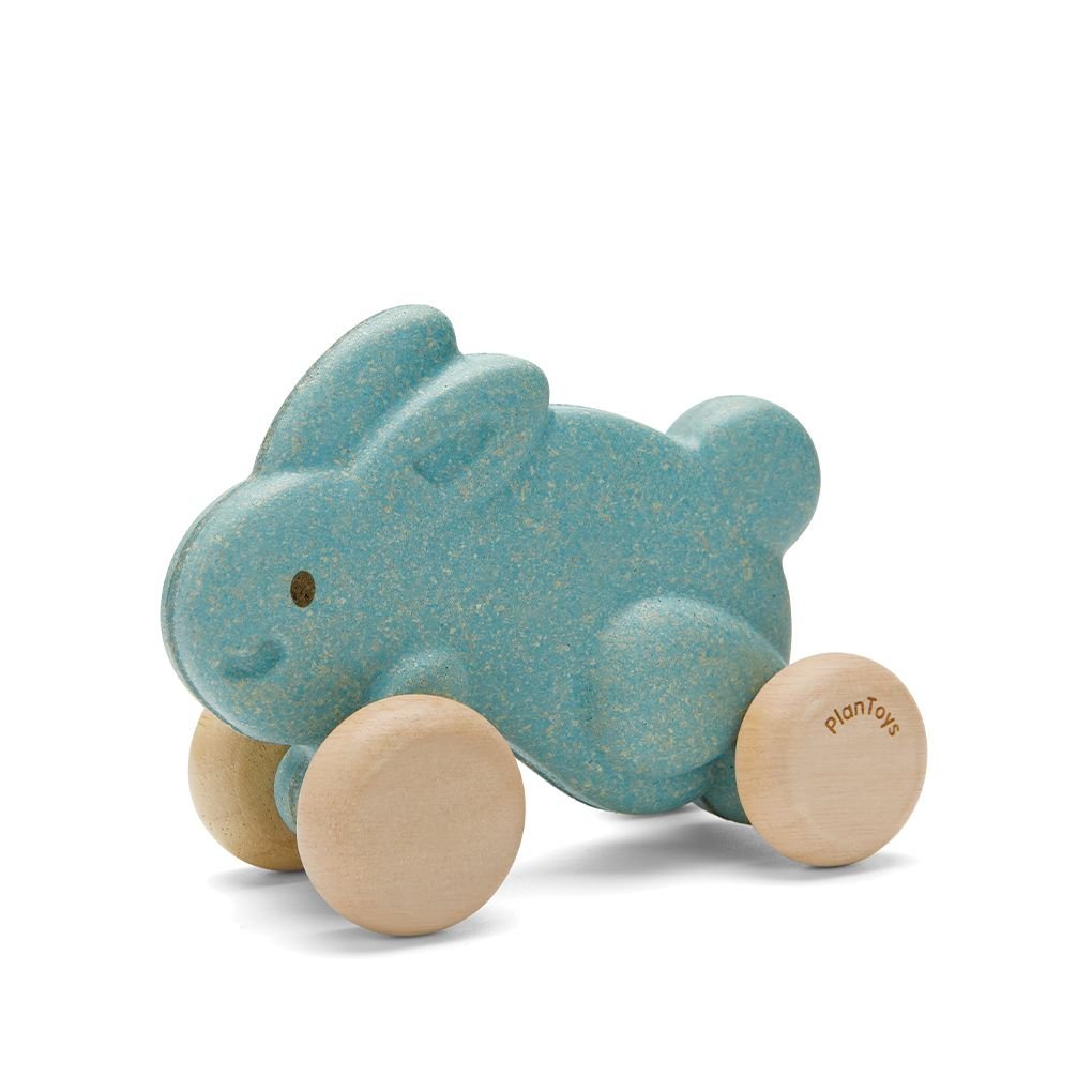 Push Along Bunny - Blue – Monkey Bunks