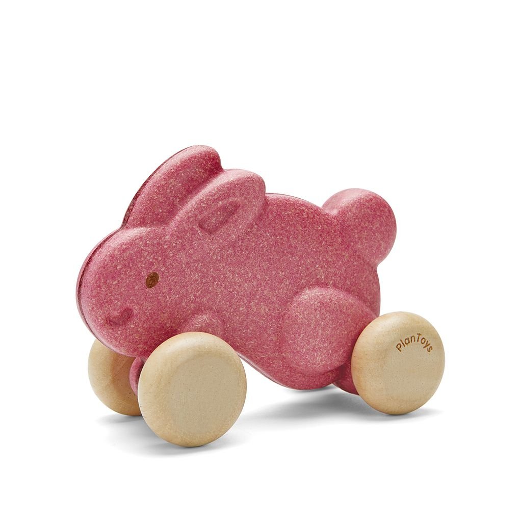 Push Along Bunny - Pink – Monkey Bunks