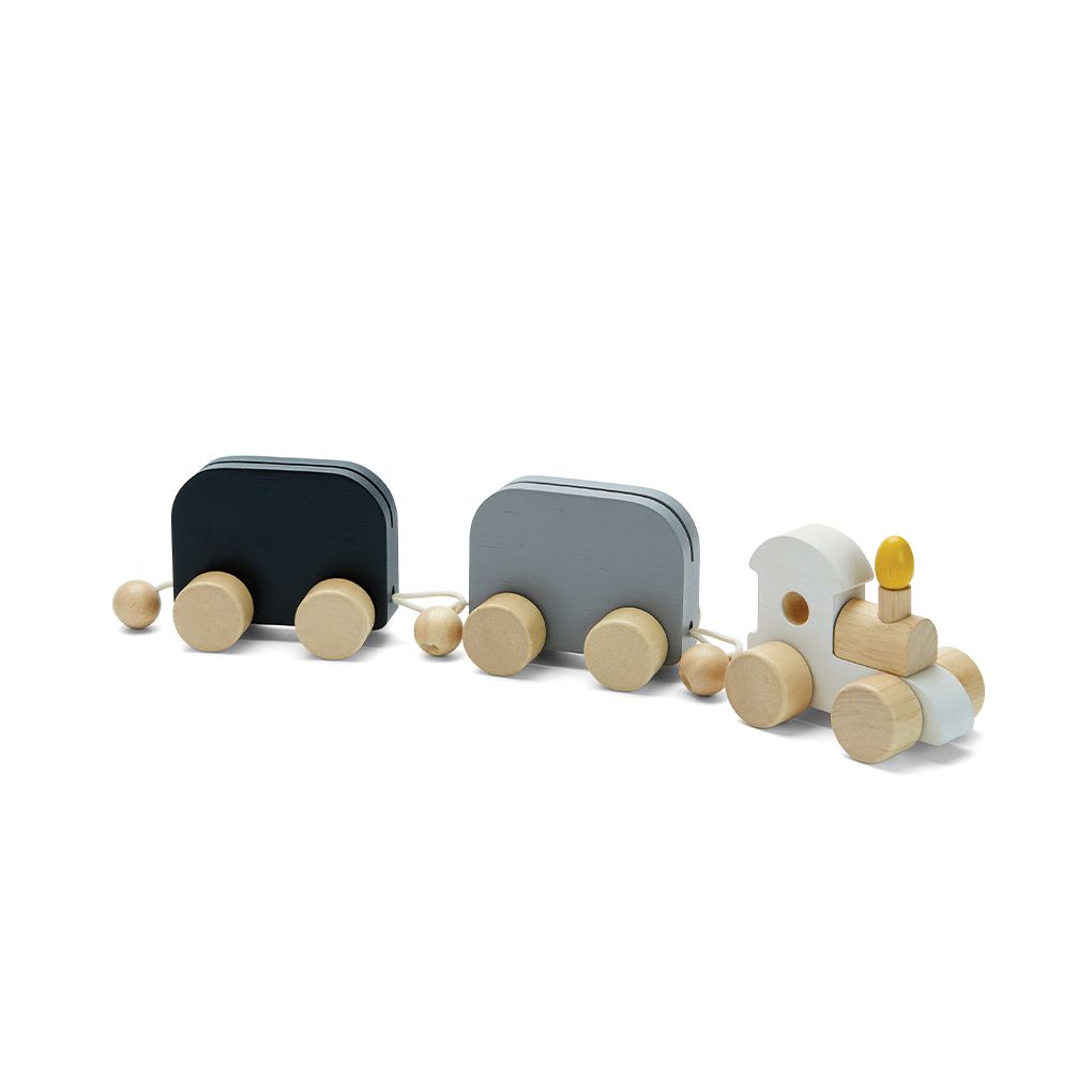 Celebration Train – Monkey Bunks