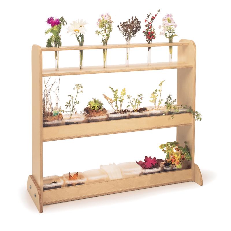 Nature Shelf – Monkey Bunks